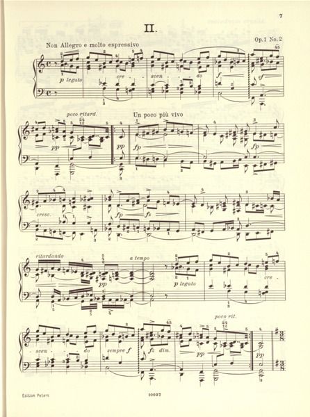 Piano Works Vol. 2 by Edvard Grieg » all-sheetmusic.com